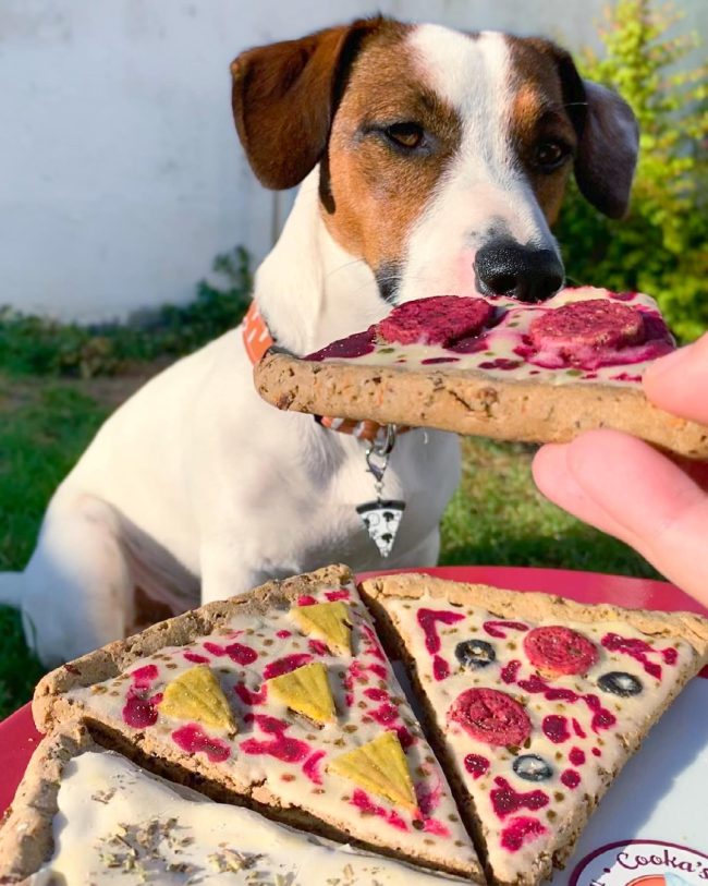 Crunchy dog-pizza made from meat and carrots in four delicous flavours