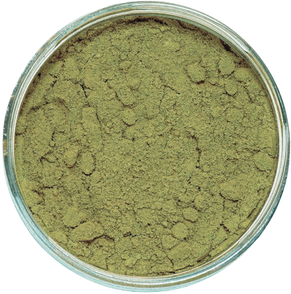 Emerald Paste - Food Toppers Golden Paste by Cooka's