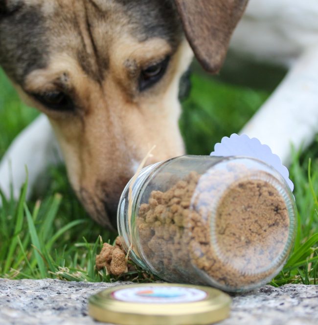 Chicken Crumble - dehydrated treats for cats and dogs Cooka's Cookies