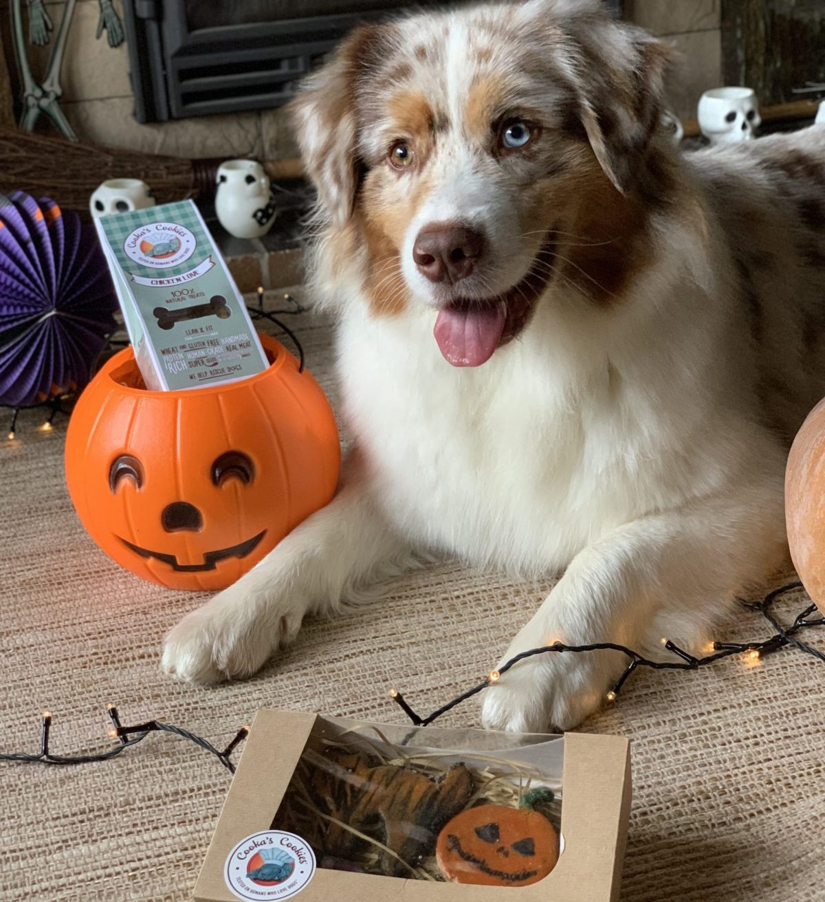 Chiara - Healthy dog treats & fresh cakes by Cooka's Cookies