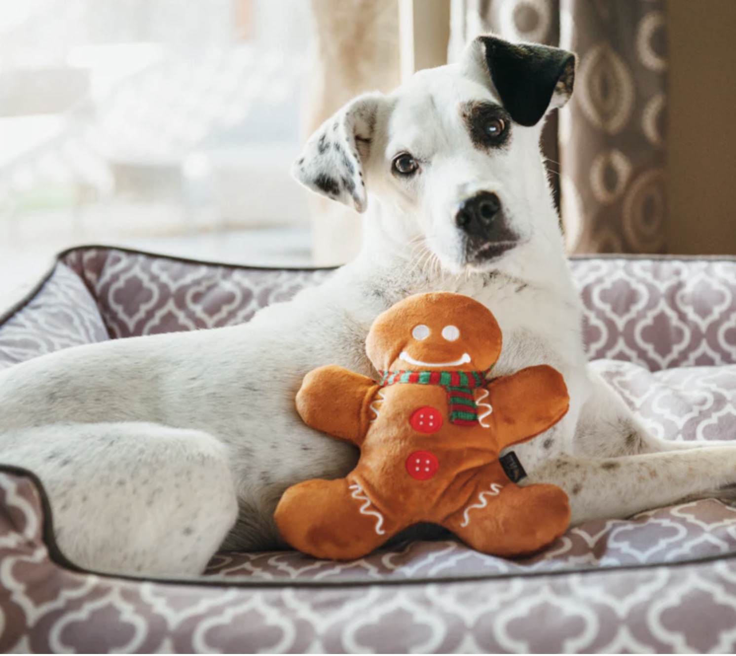 Gingerbread man - Toy - Eco-friendly pet toys - clumsy-claus