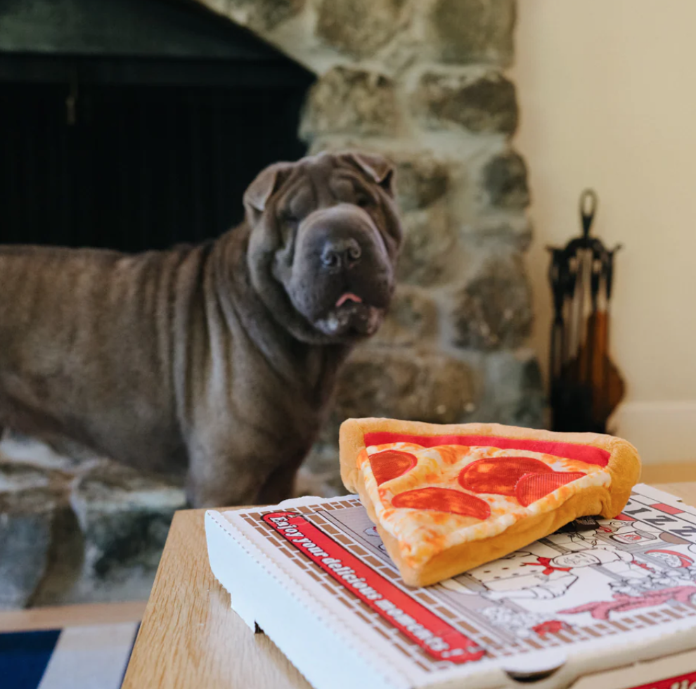 Puppyroni Pizza - Toy - Eco-friendly pet toys - duck