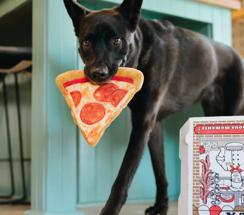 Puppyroni Pizza - Toy - Eco-friendly pet toys - duck